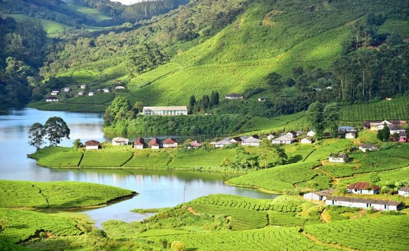 Munnar Alleppey Tour Package 3 Nights 4 Days | TIK Holidays